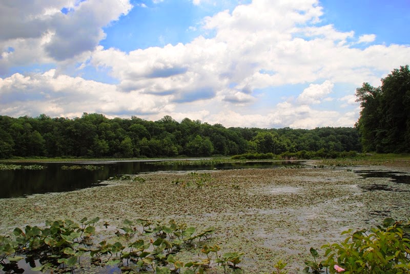 Southeastern PA Hiking: Lake Towhee County Park