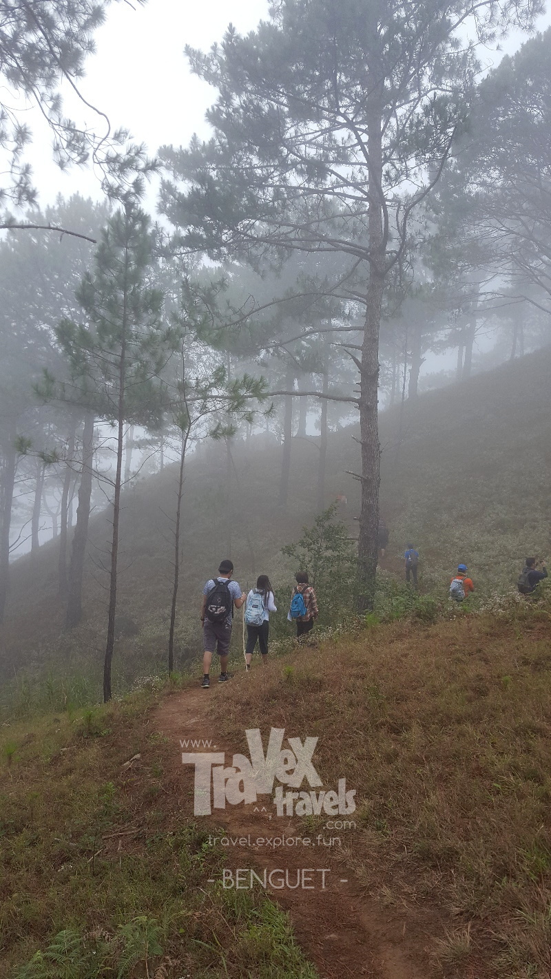 Touch the Clouds at Mt. Ulap in Itogon, Benguet - Travex Travels ...