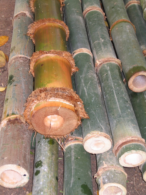 Kemenyan ku bakar Namamu ku puja: Bedil@Meriam Buluh hingga Kebaid ...