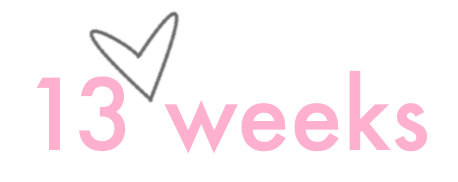 Life Alaskan Style: weekly updates: 4 weeks to 13 weeks!