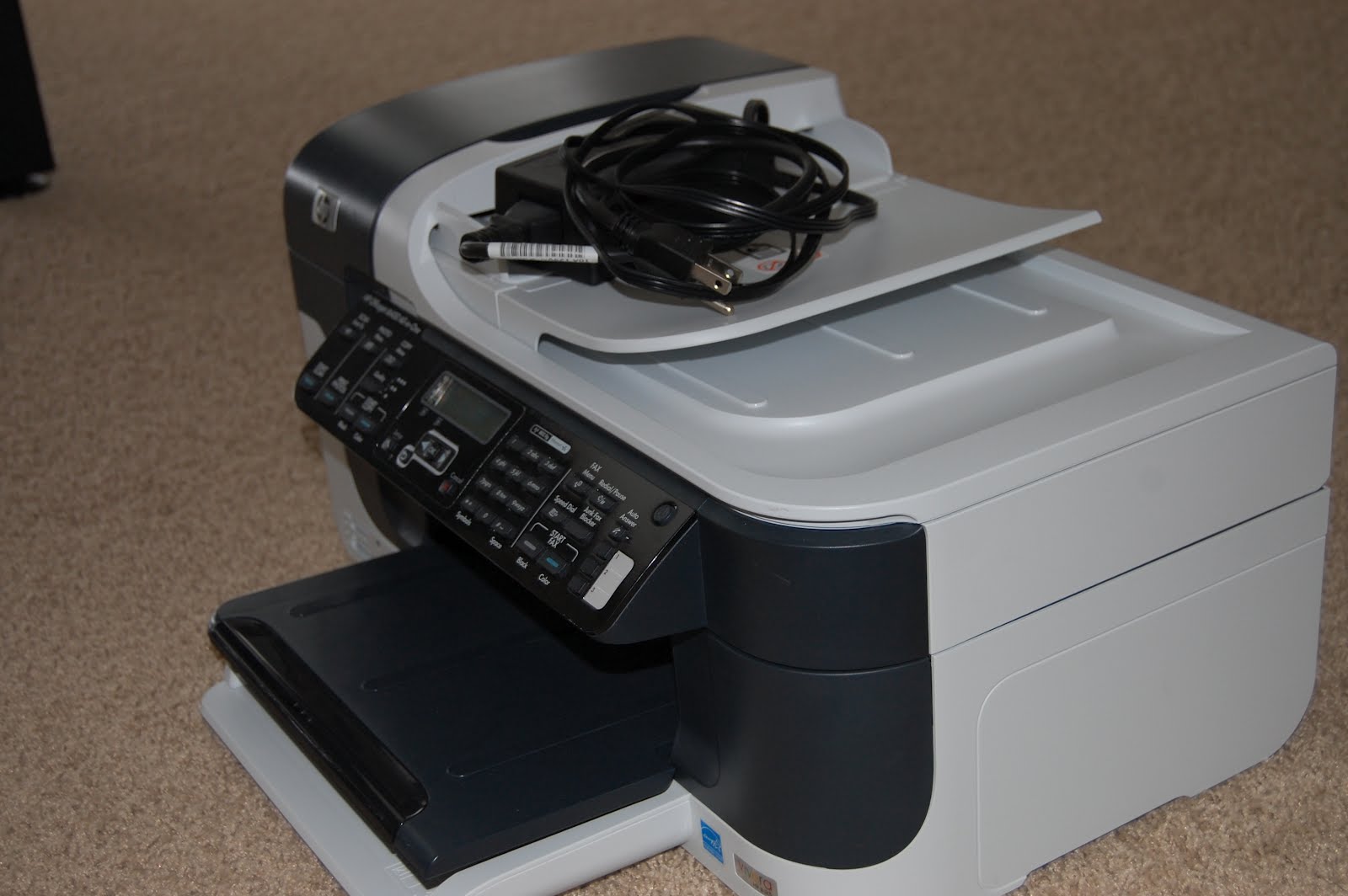 Clay's Blog: FREE to Good Homes