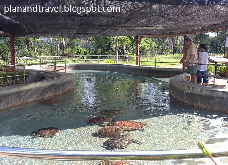 Plan and Travel: Turtle Conservation and Information Centre, Segari, Perak