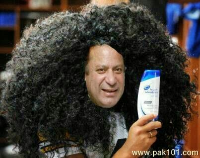 funny shampoo - Fun 4 Photo