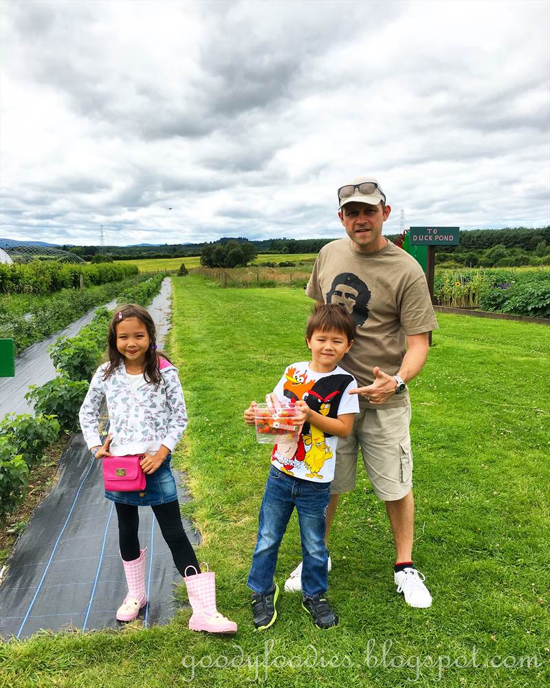 GoodyFoodies: Easter Anguston Farm, Scotland - Strawberry Picking & more..