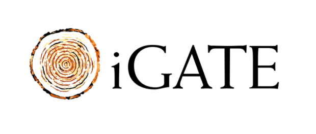 IGATE Global Solutions Walk-In Any Graduate freshers 2015 for Associate ...