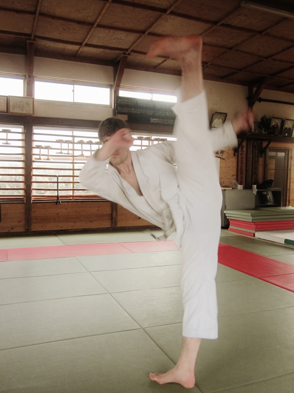 André Bertel's Karate-Do: Understanding