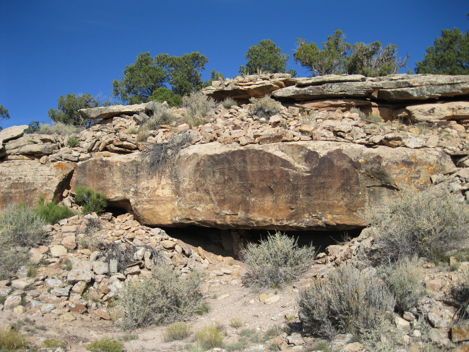 Four Corners Hikes-Canyons of the Ancients: Mockingbird Mesa West Rim