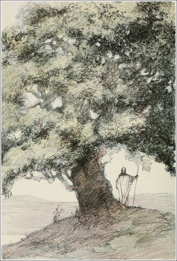 1000+ images about Trees_drawing on Pinterest | Tree drawings, Oak tree ...