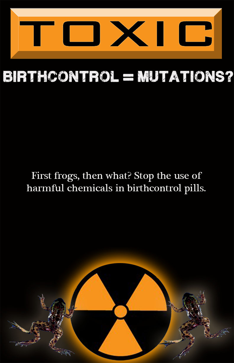 Capstone Blog 2013: Practice Poster