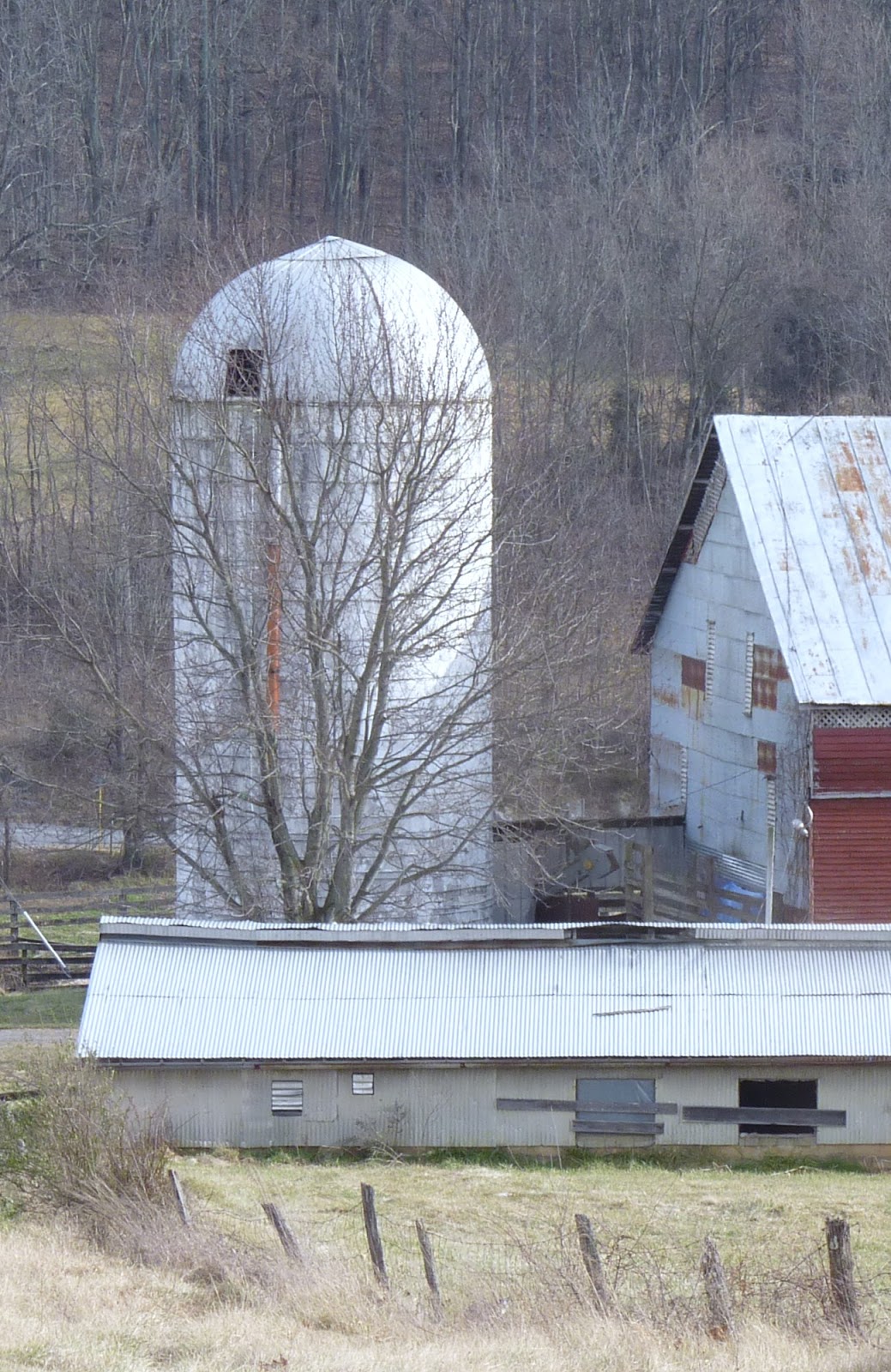 Mountain Glen Farm Journal: Repurpose Our Silo?