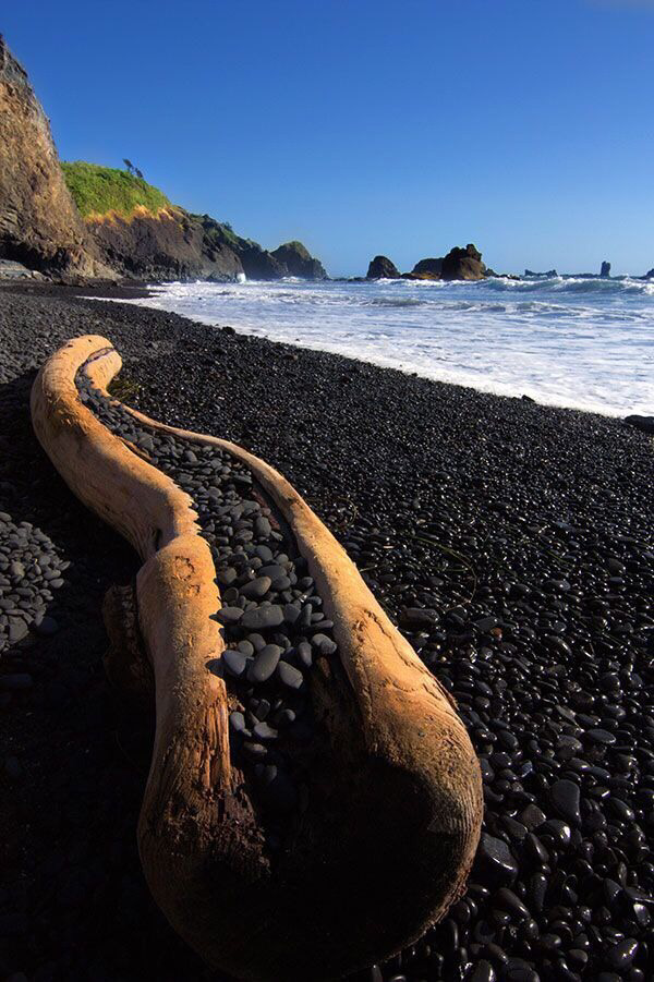 Amazing Places Black Stone Beach in Oregon United State - Gotravelad