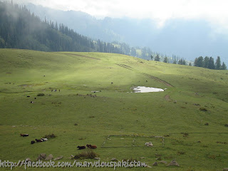 Marvelous Pakistan: Beautiful Pakistan: Siri Paye