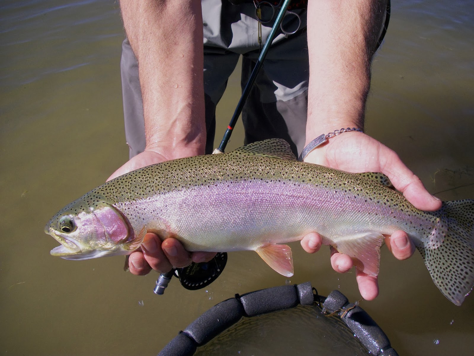 Jon Baiocchi Fly Fishing News: Fall Magic Continues at Lake Davis
