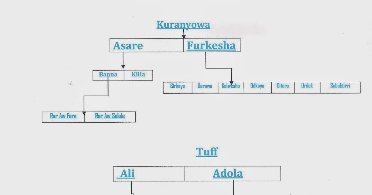 The Somali Dir Clan's History: Codka Beesha Direed: Abtirsiinyada ...