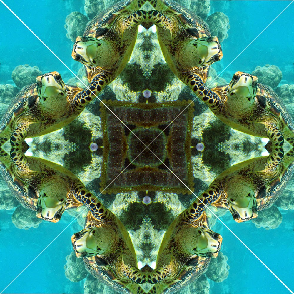 Hey, That's My Art Teacher: Kaleidoscope