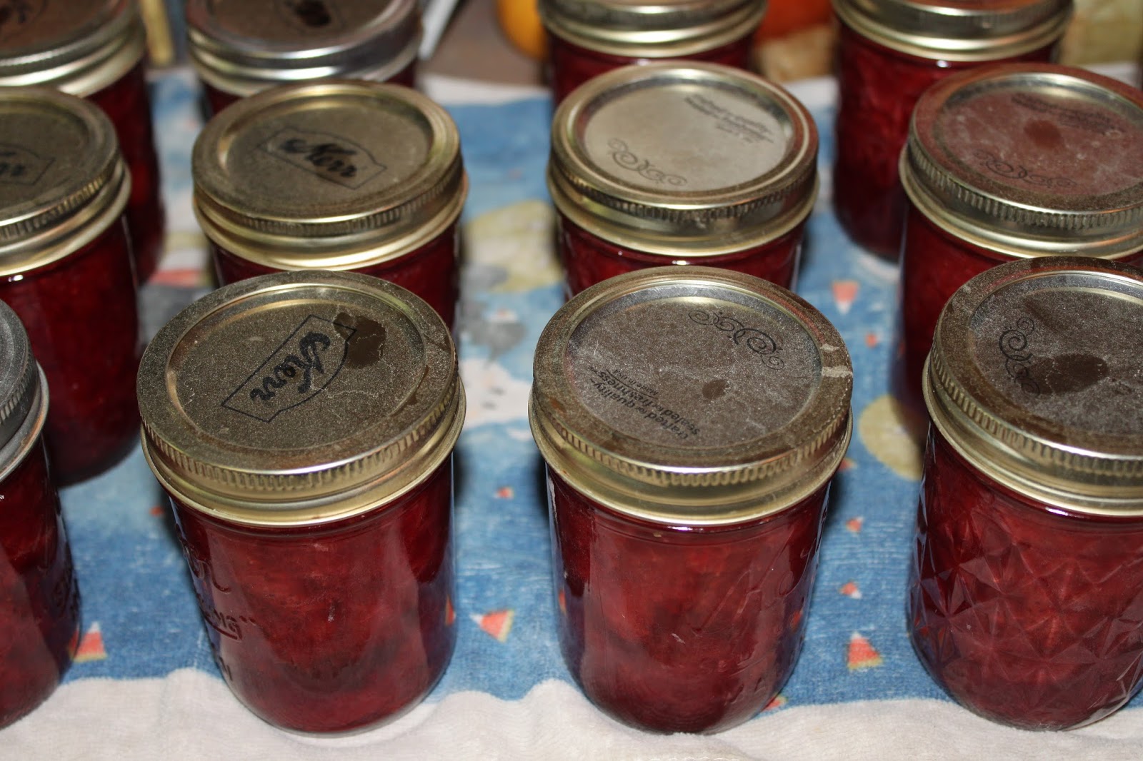 Wildwood Country Acres: My New Favorite Jam