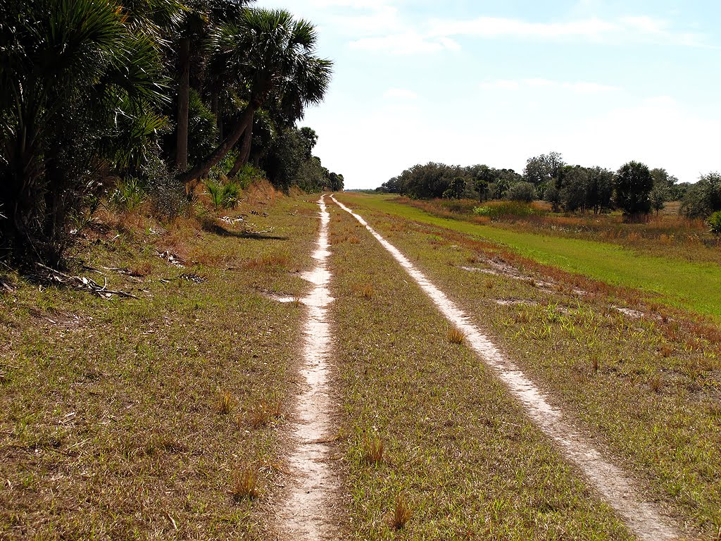 Florida Hikes and Other Outdoor Information : Three Forks Marsh ...
