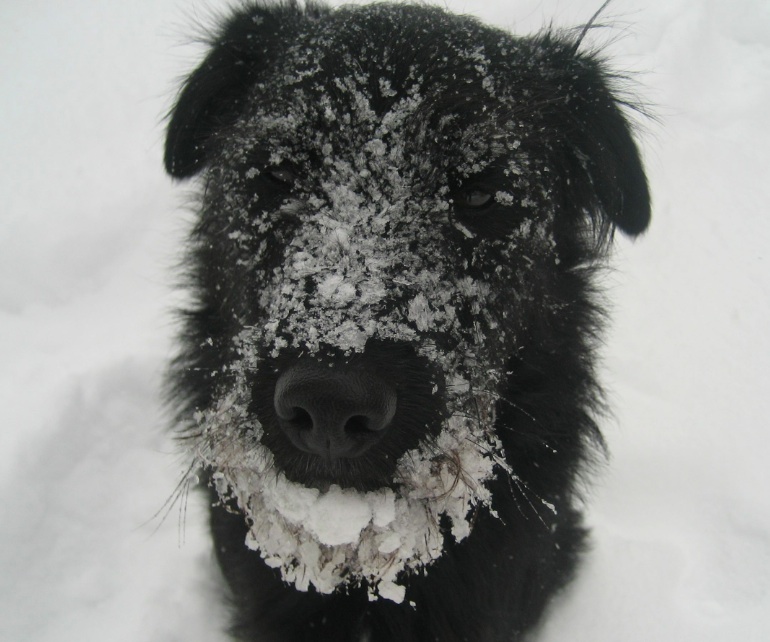 Nutrition for the Future: Eat, Play, Rest