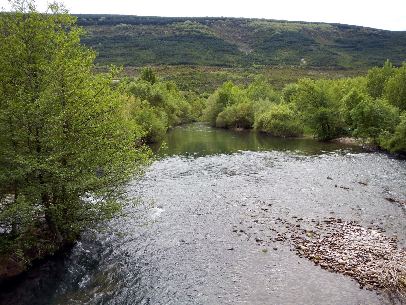 Ríos Trucheros y Pesca con Mosca: Resumen del primer mes de temporada ...