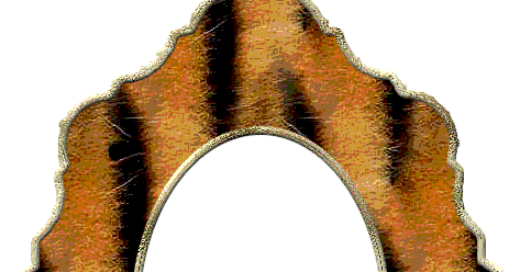 ZOOM DISEÑO Y FOTOGRAFIA