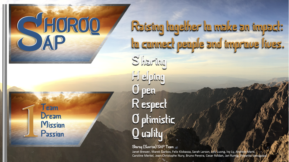 Week 3 preparation: Team Motto