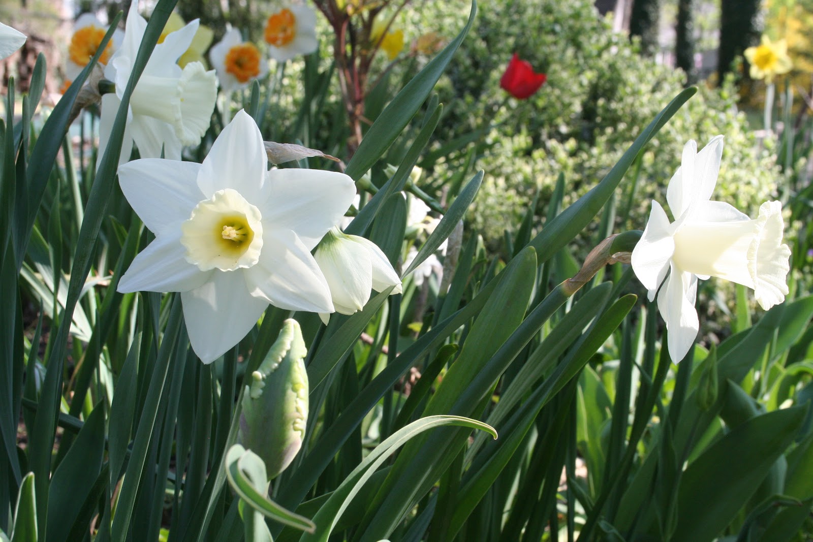 Gardens of Earthly Pleasures