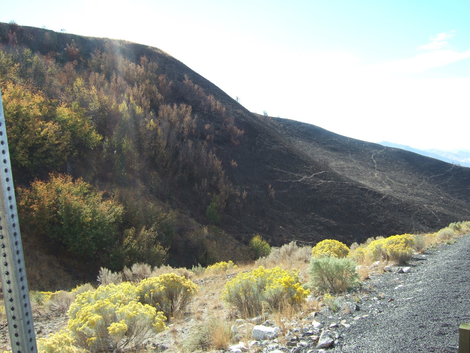 Reading the Washington Landscape: Fire Notes on West Edge of Waterville ...