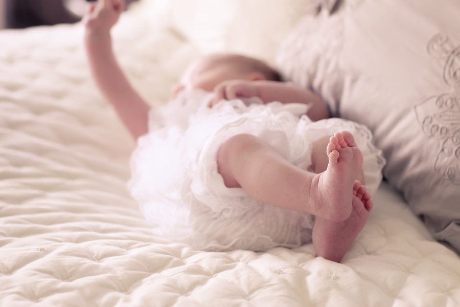 Andrea Finnegan Photography