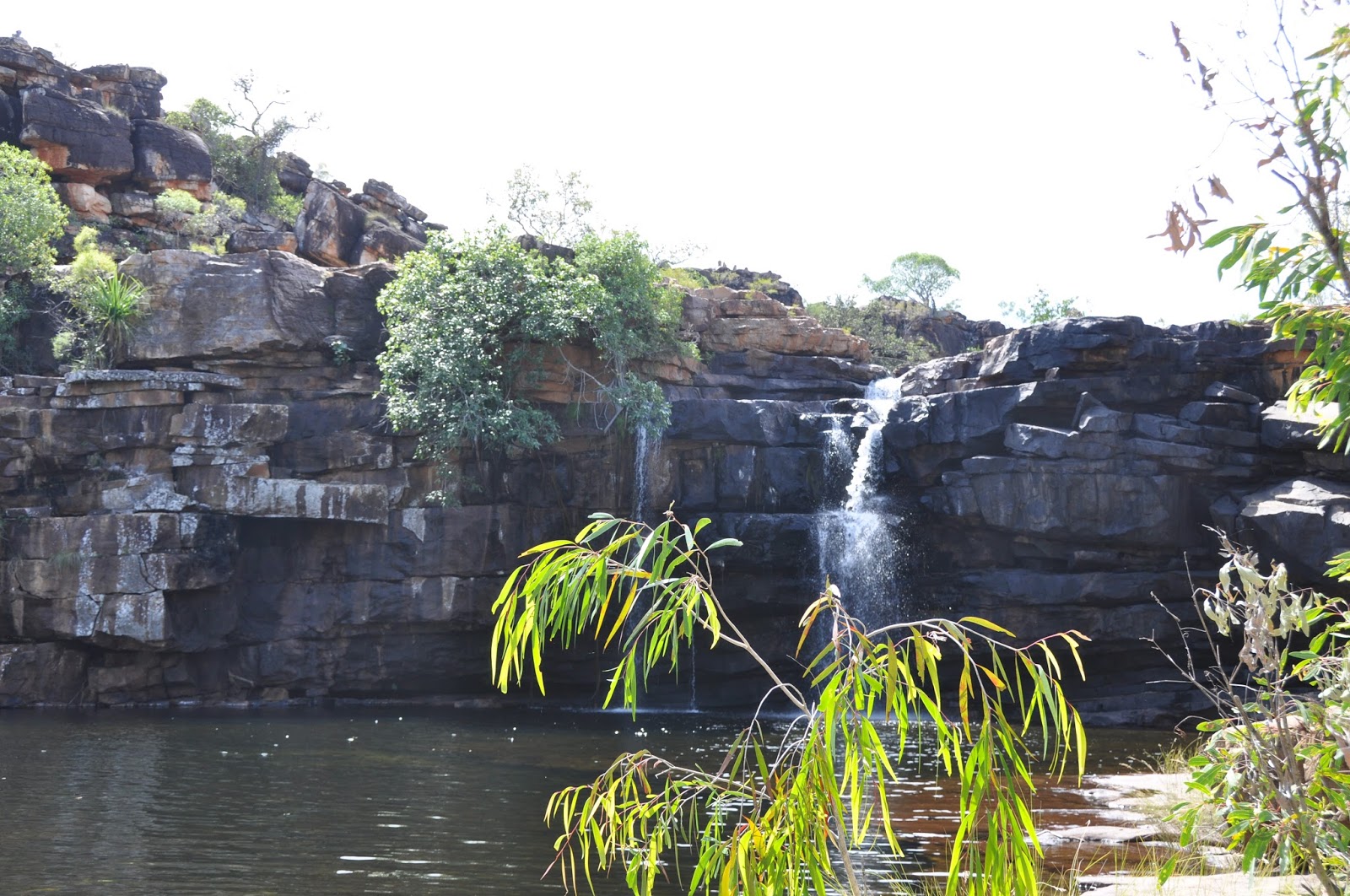 BarbaraTVan: BARBARA'S KIMBERLEY ADVENTURE - THE GIBB RIVER ROAD TO ...