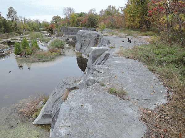 Chazy Reef - Part II ~ Hudson Valley Geologist