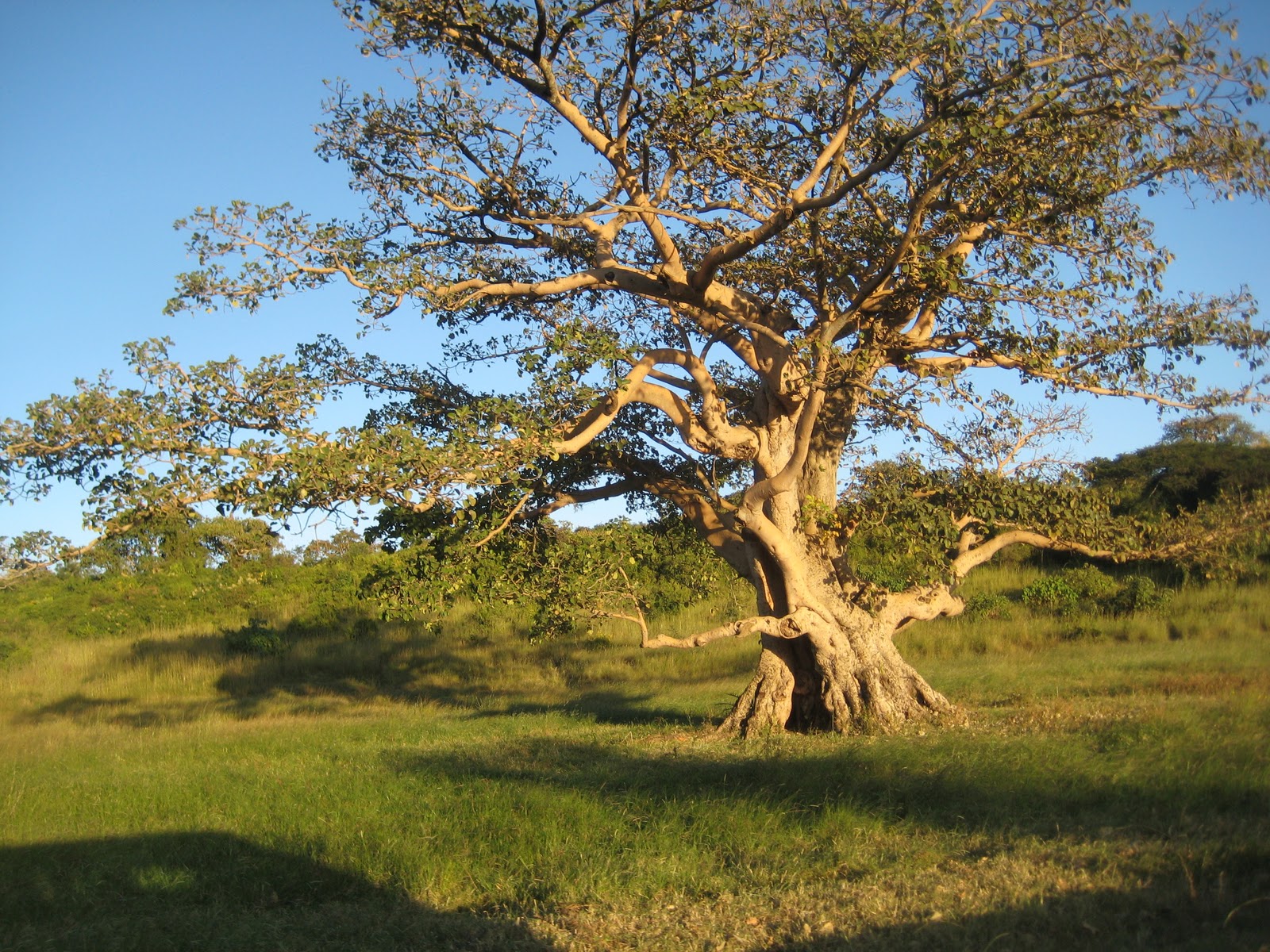 Zannerpalooza: November 2011