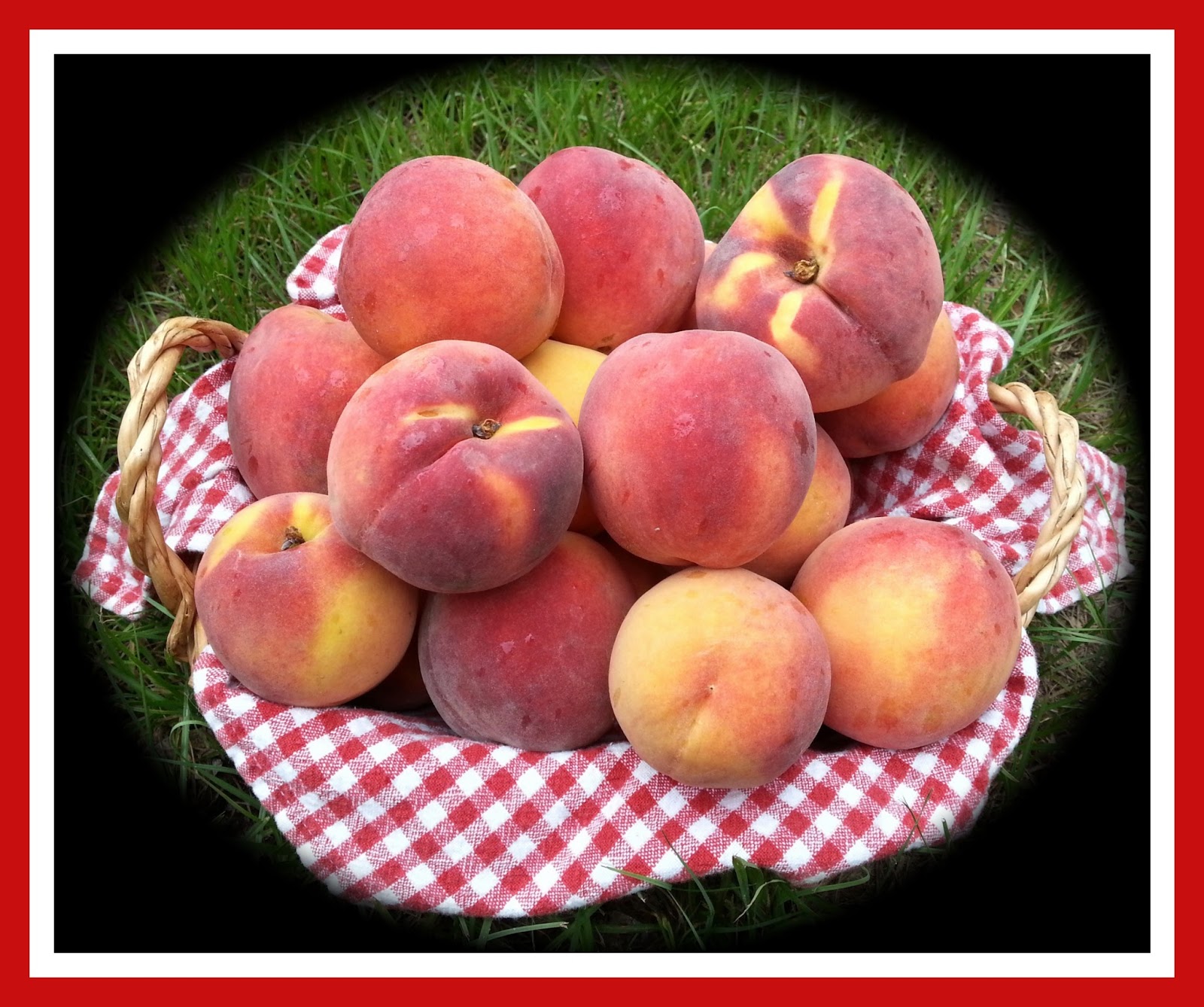 Ginson's Farmhouse Chic - Down On The Farm: HOW TO: Preserving Peaches ...