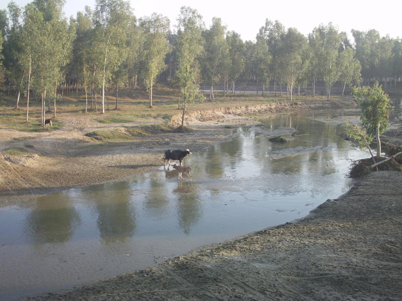 Barapind Zafarwal Shakargarh Narowal Punjab Pakistan | Barapind Pk