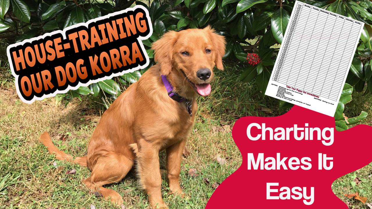 How We Potty Trained our Dog - Check out this Helpful Tracking Chart ...