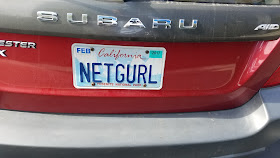 The Art Of The Plate: A Guide To Designing And Ordering Custom License ...