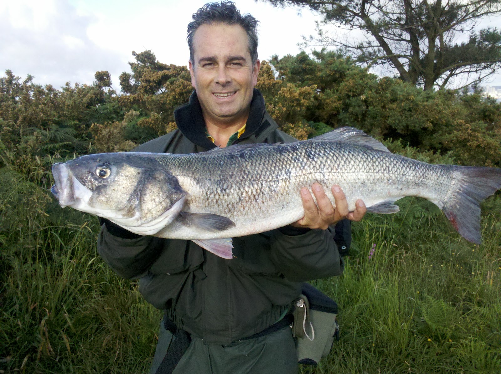 solorobalizas: Robalo 6.350 gramos pescado en la costa Ártabra