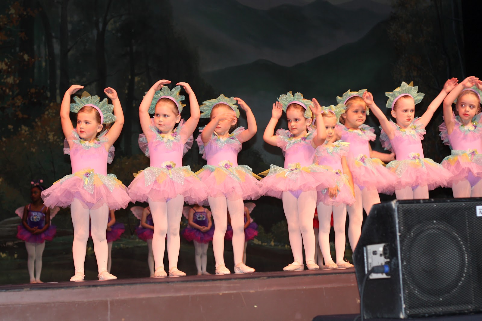 SheShe Made Blog: Ava's first ballet recital