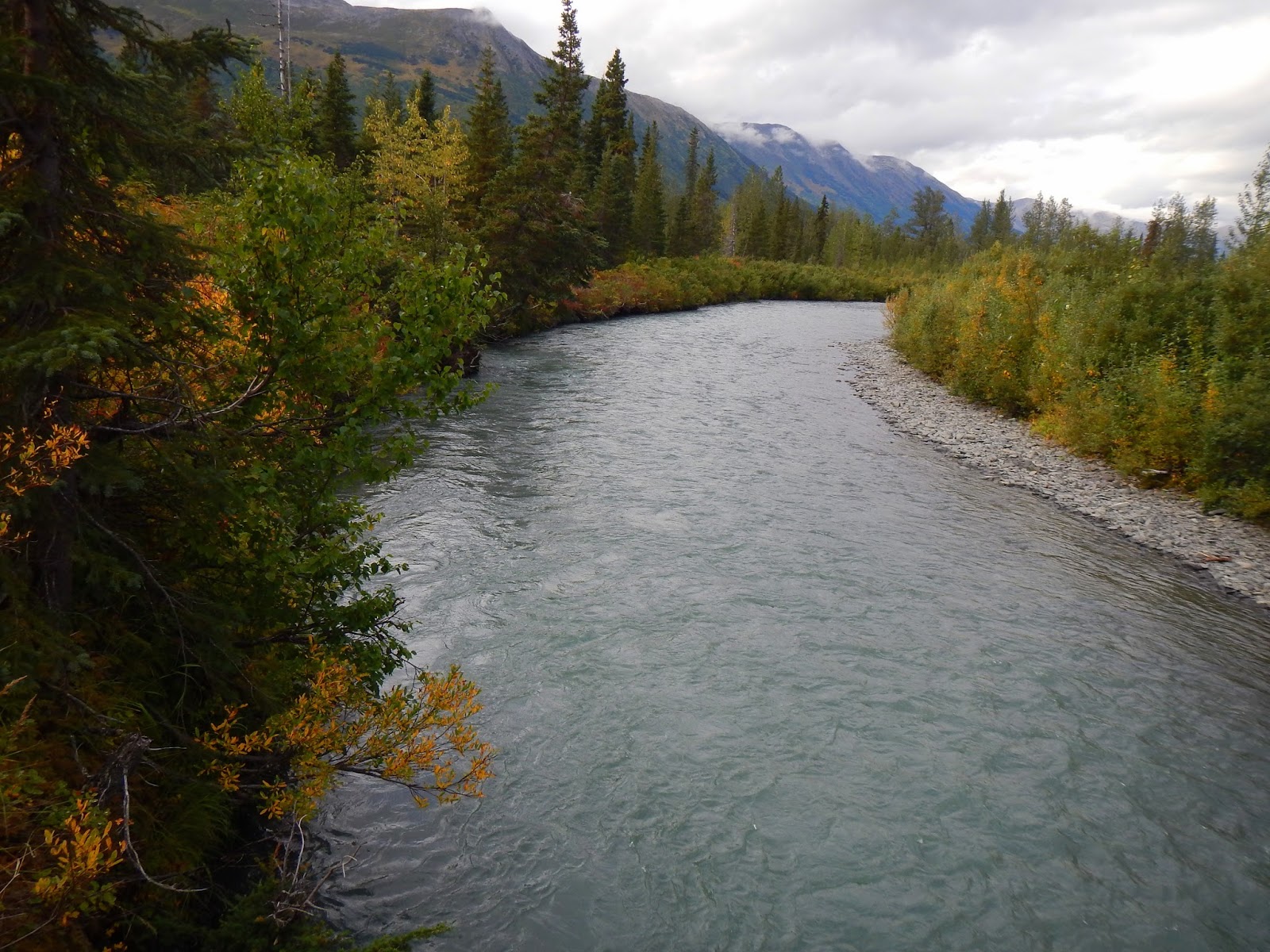 Mountain memories: Johnson Pass MTB - 9.8.2013