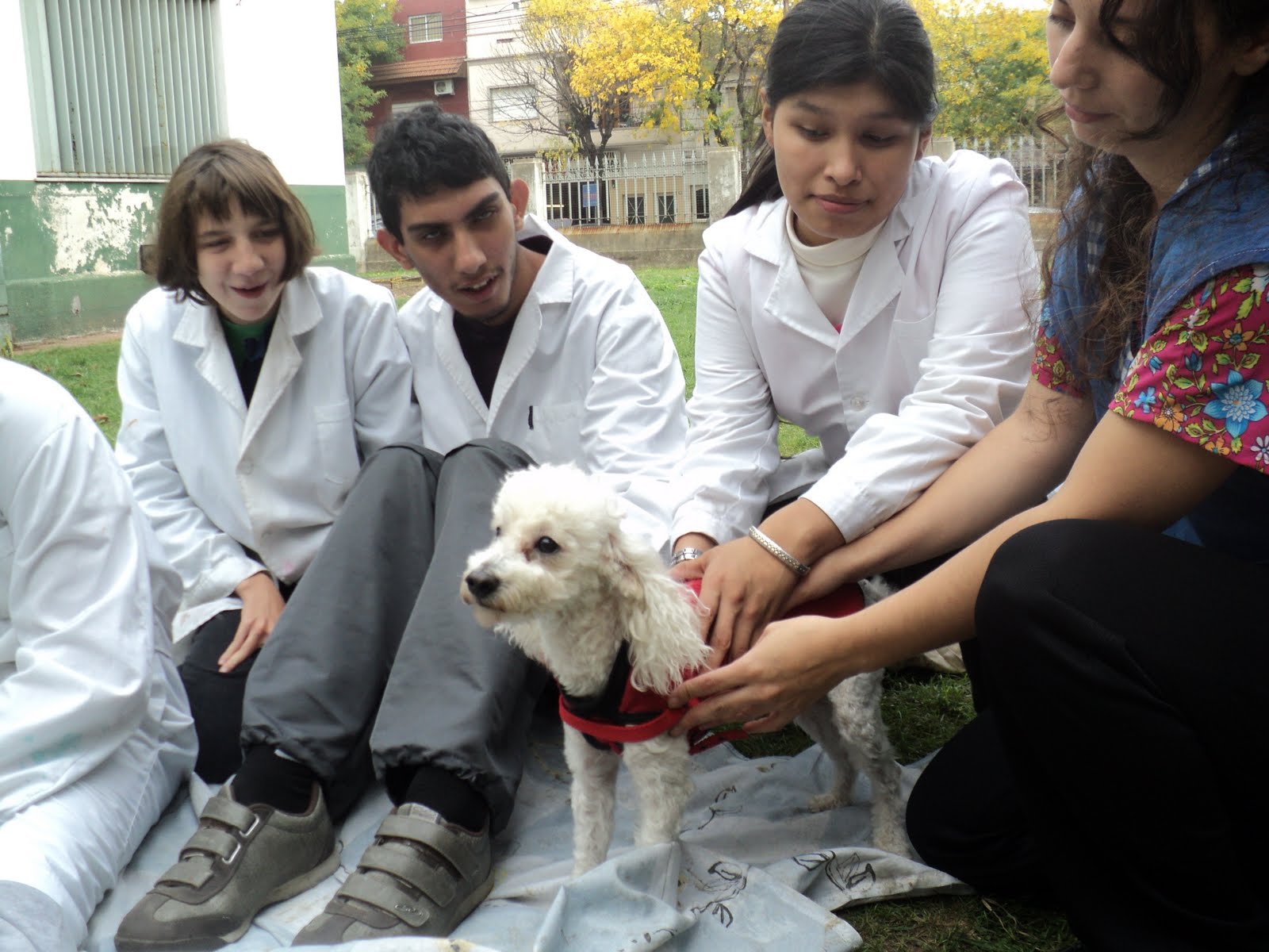 Especialmente Artística....de la 18....: Mascotas en la escuela....