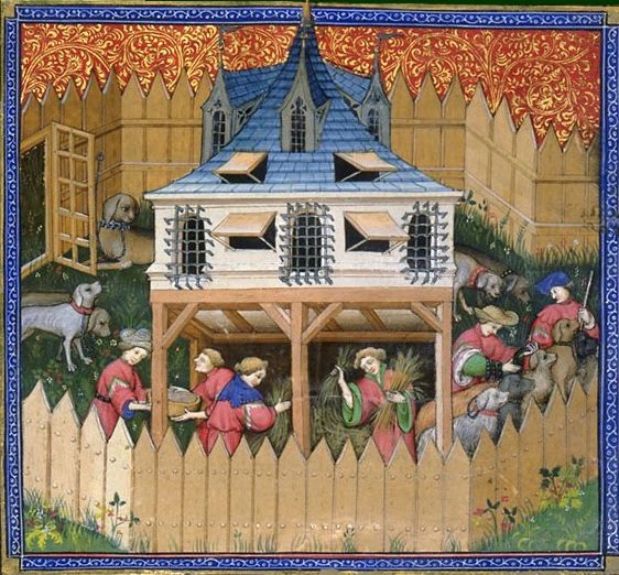 Dog Law Reporter: The Good Life of the Medieval Hunting Dog