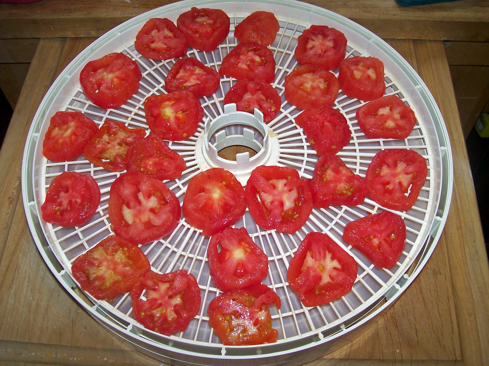 Dehydrating Way Beyond Jerky: Dehydrating Plum Tomatoes - Details