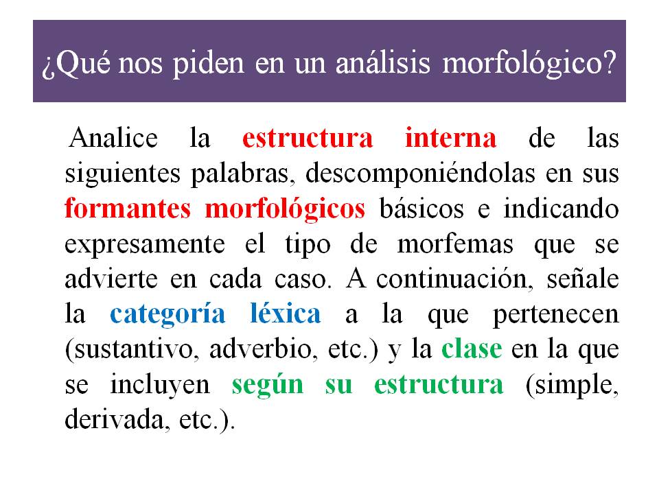 Analisis Morfologico