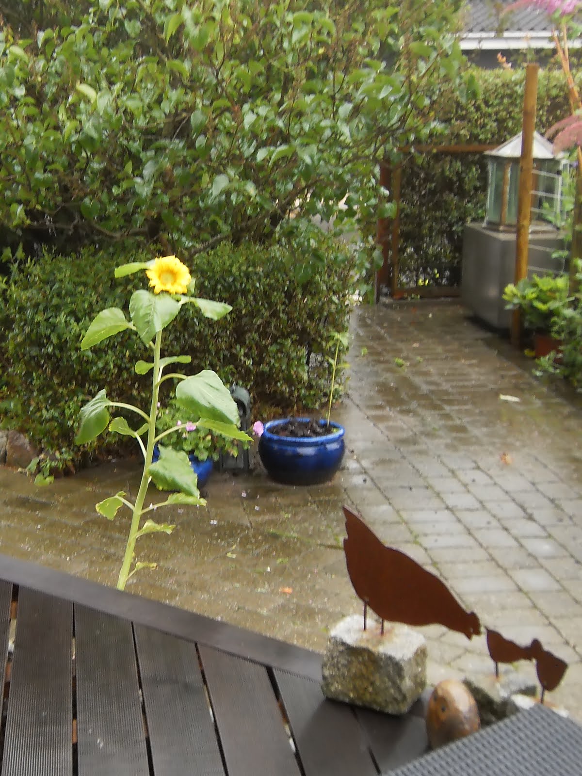 Patchwork-blomsten: Solsikker .....