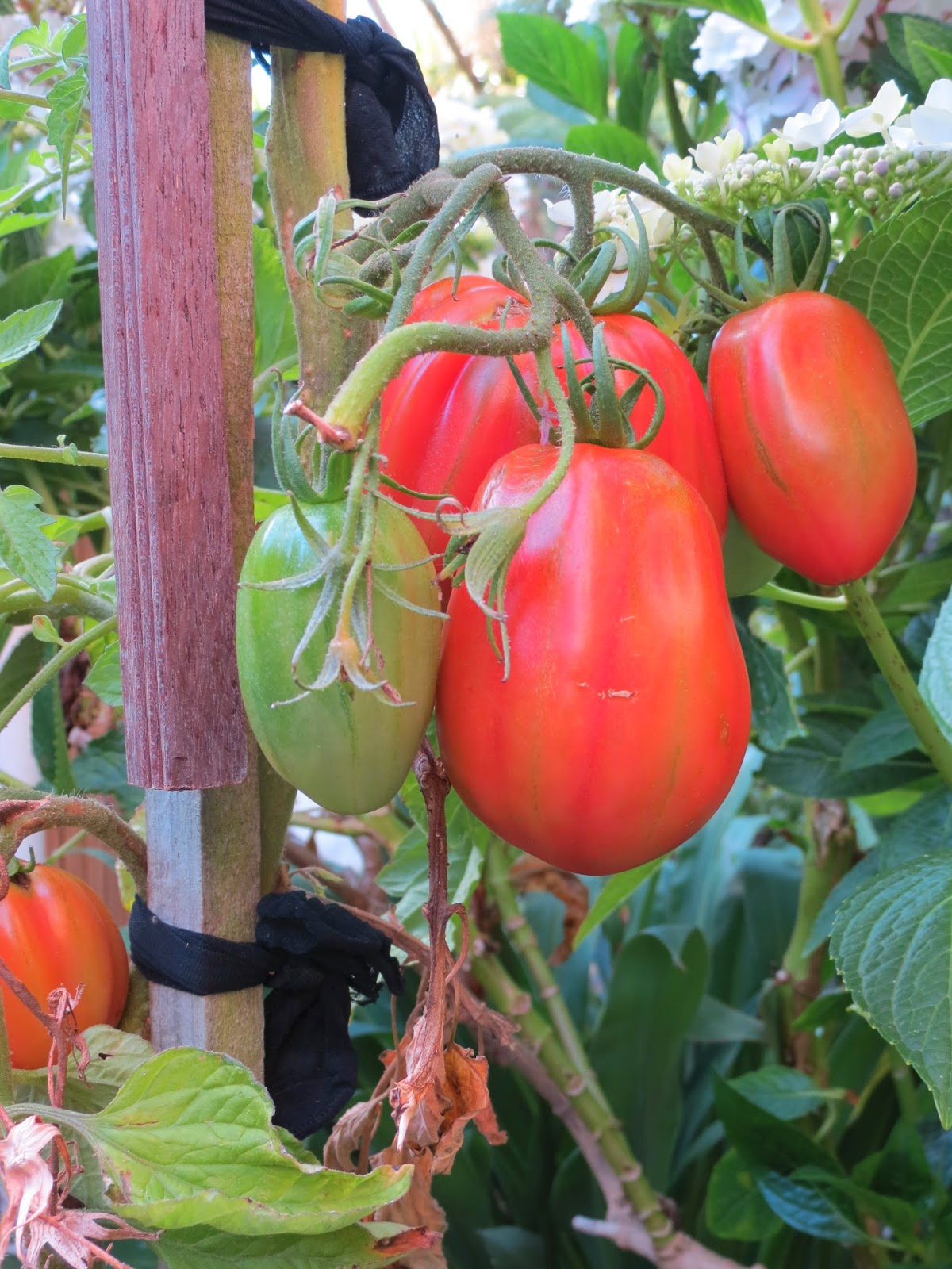 Capital Living: April 2014