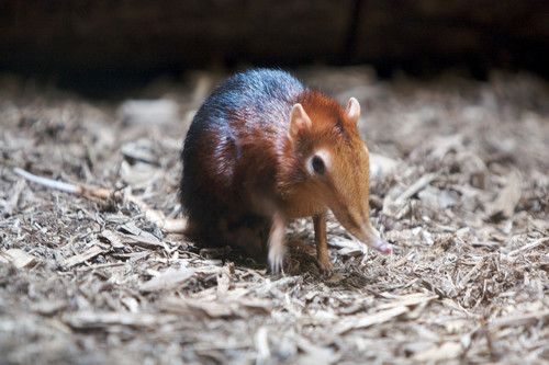 And I Think to Myself...What A Wonderful World.: Creature Feature ...