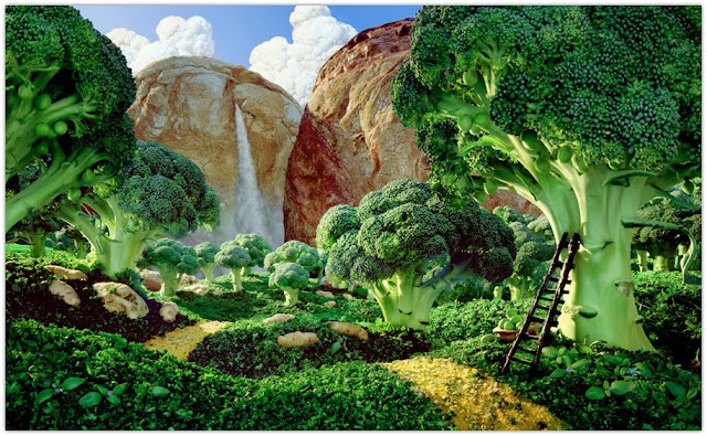 Amazing Food Landscapes