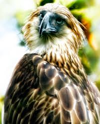 Make It Davao: Malagos Garden Resort