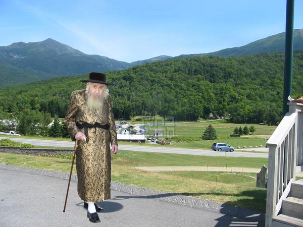 The Partial View: BDE Tosher Rebbe ZT""L