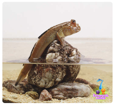 . Estampida Animal .: Peces del fango