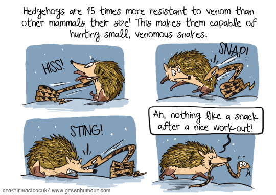 Green Humour: Hedgehog Cartoons for Arastirmaci Cocuk